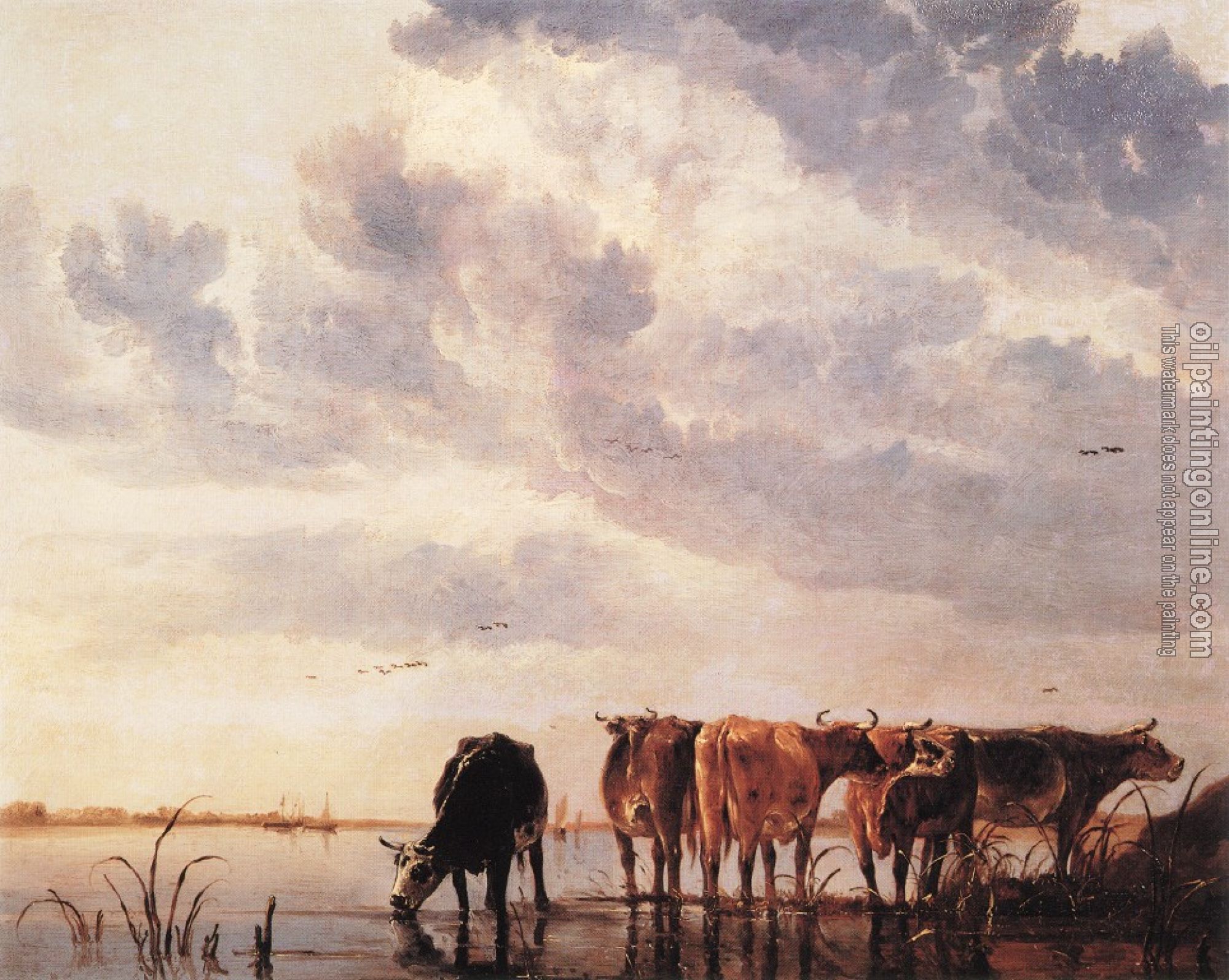 Aelbert Cuyp - Cows - Canvas Painting For Sale
